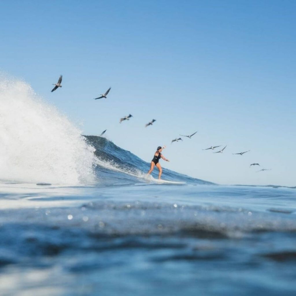 Master the Basics of Surfing: A Complete Guide for Beginners