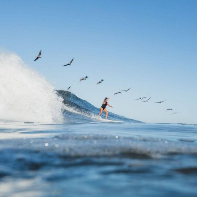 Master the Basics of Surfing: A Complete Guide for Beginners