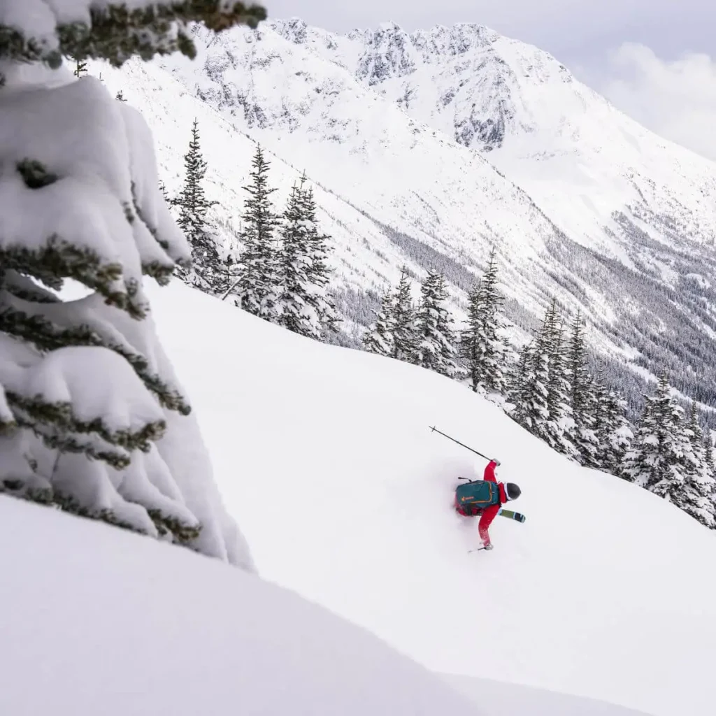 Canada Helisking and Heli Ski Trips - AWAVE Travel Snow